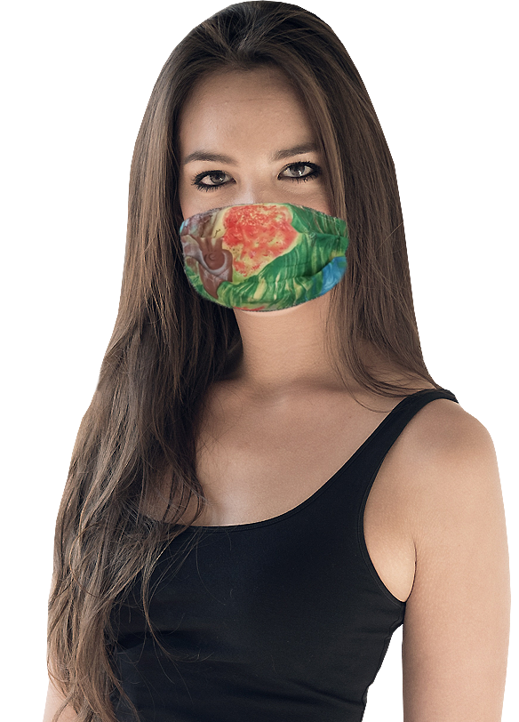 Cover That Face - Coronavirus Face Masks - Covid-19 Face Masks - Cloth ...